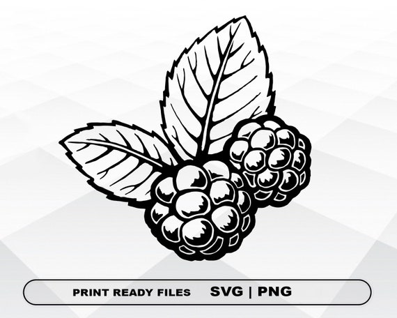 Raspberry SVG and PNG Files Clipart Raspberry Print SVG - Etsy