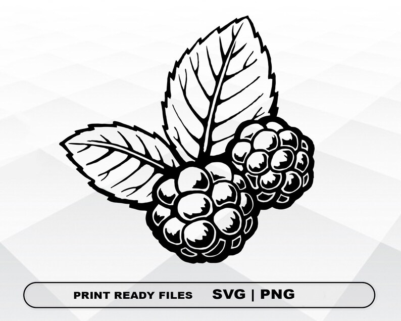 Raspberry SVG and PNG Files Clipart Raspberry Print SVG - Etsy