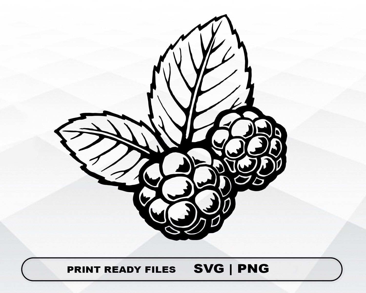 Raspberry SVG and PNG Files Clipart Raspberry Print SVG - Etsy