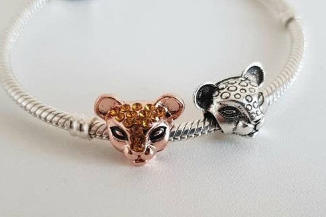 Silver Lion and Lioness Charm Size Ale S925 - Etsy