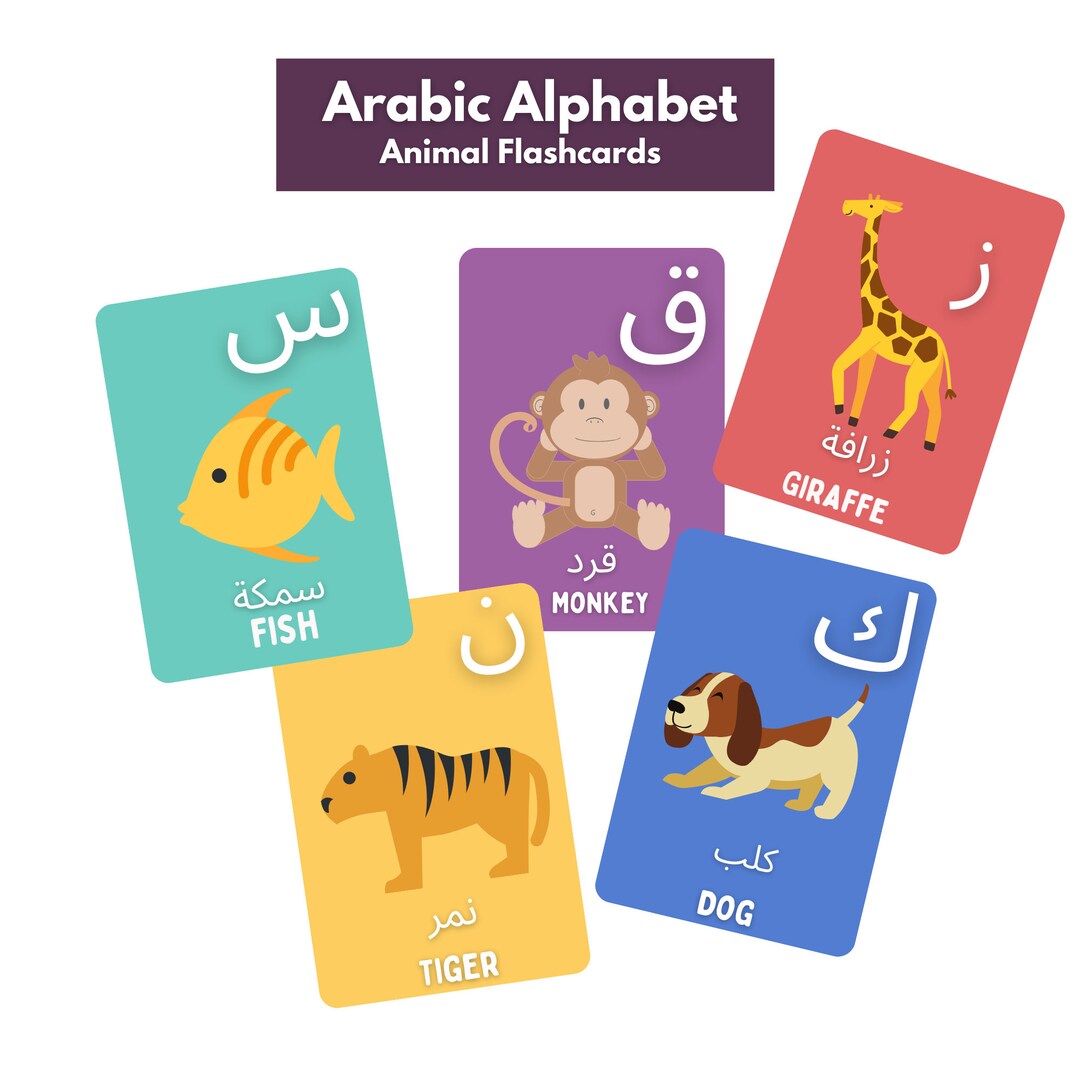 Arabic Alphabet FLASHCARDS With Animals Pictures - Etsy