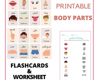Let's Learn Body Parts [in Arabic & English] بطاقات لتعلم أعضاء الجسم ...