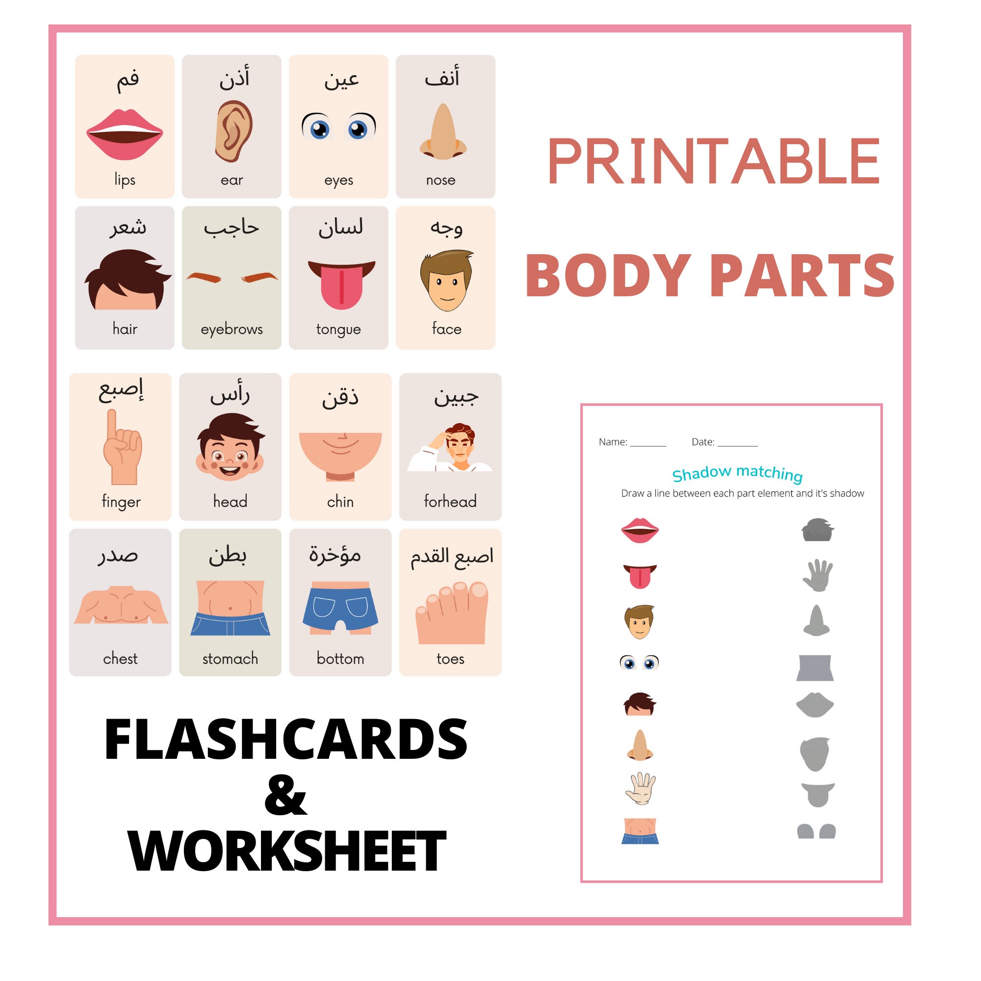 Body Parts Flashcards [ARABIC-ENGLISH] + WORKSHEET اعضاء الجسم - Etsy
