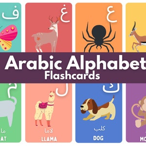 Arabic Alphabet FLASHCARDS With Animals Pictures - Etsy