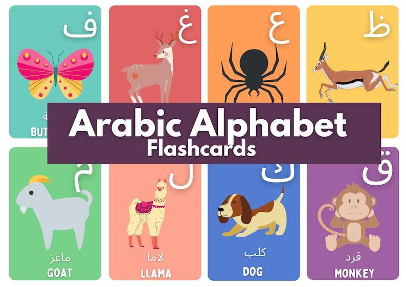 Arabic Alphabet FLASHCARDS With Animals Pictures | Etsy