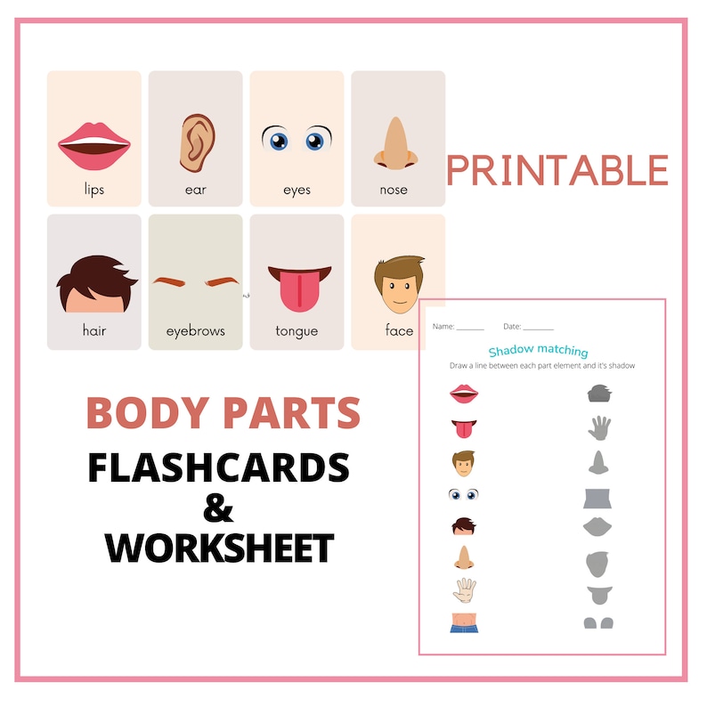 Body Parts Flashcards + WORKSHEET - Etsy