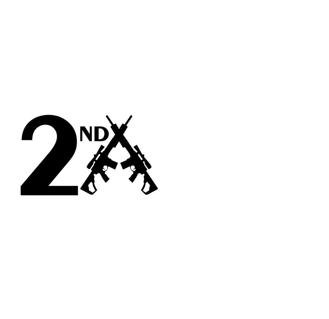 2nd Amendment Decal, Car, Truck, Free Shipping, Choose - Etsy