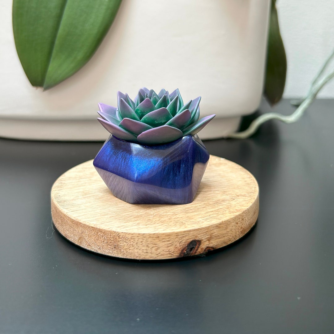 3D Printed Cactus Figurine Succulent Replica Desk Accessory Cute Cactus ...