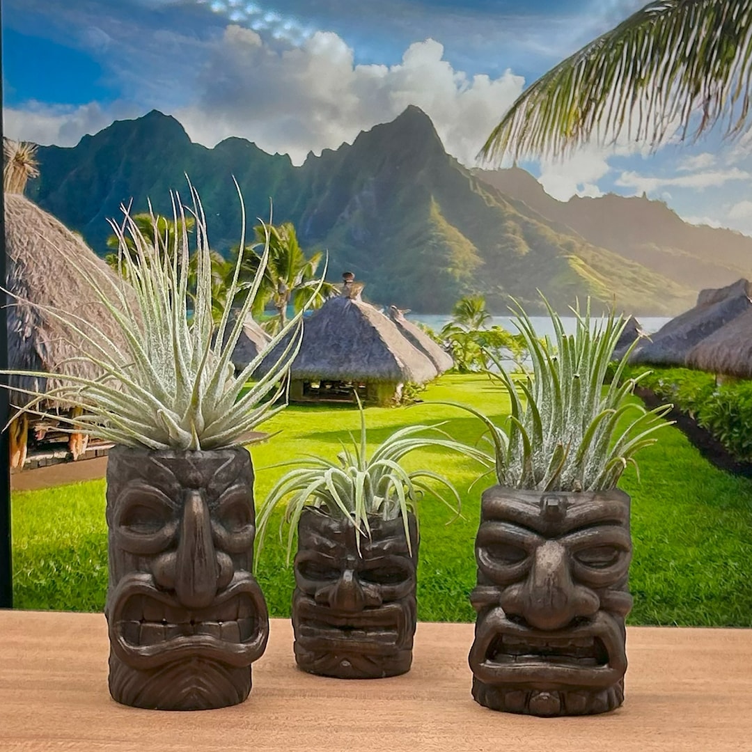 Air Plant Holder Tiki Planter Tiki Air Plant Pot Tillandsia Ionantha ...