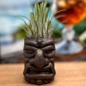 Air Plant Holder Tiki Planter Tiki Air Plant Pot Tillandsia Ionantha ...