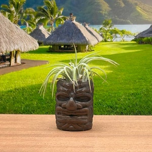 Air Plant Holder Tiki Planter Tiki Air Plant Pot Tillandsia Ionantha ...