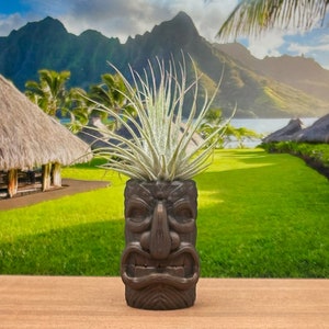 Air Plant Holder Tiki Planter Tiki Air Plant Pot Tillandsia Ionantha ...