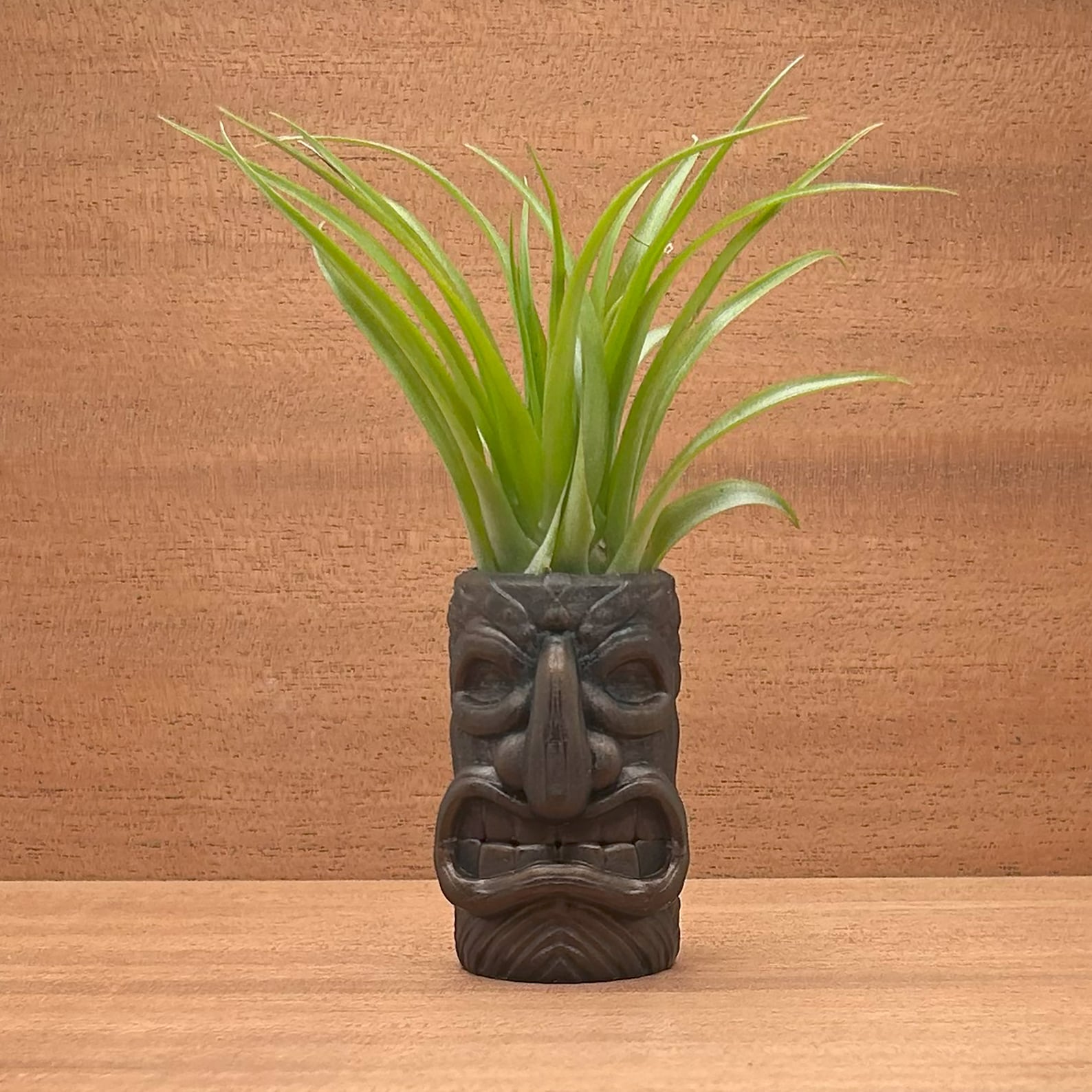 Air Plant Holder Tiki Planter Tiki Air Plant Pot Tillandsia Abdita ...