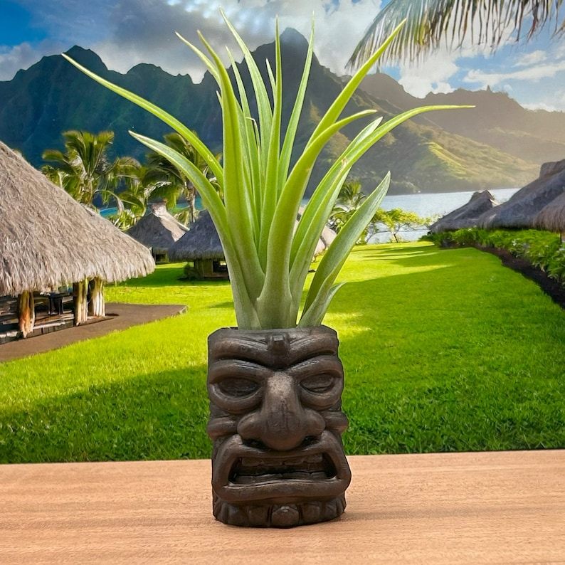 Air Plant Holder Tiki Planter Tiki Air Plant Pot Tillandsia Abdita ...