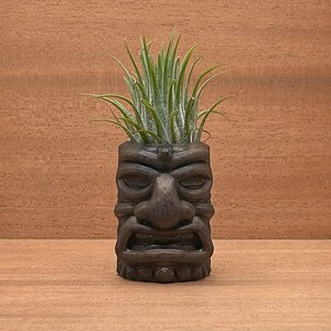 Air Plant Holder Tiki Planter Tiki Air Plant Pot Tillandsia Ionantha ...