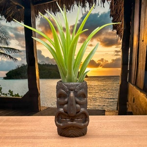 Air Plant Holder Tiki Planter Tiki Air Plant Pot Tillandsia Abdita ...