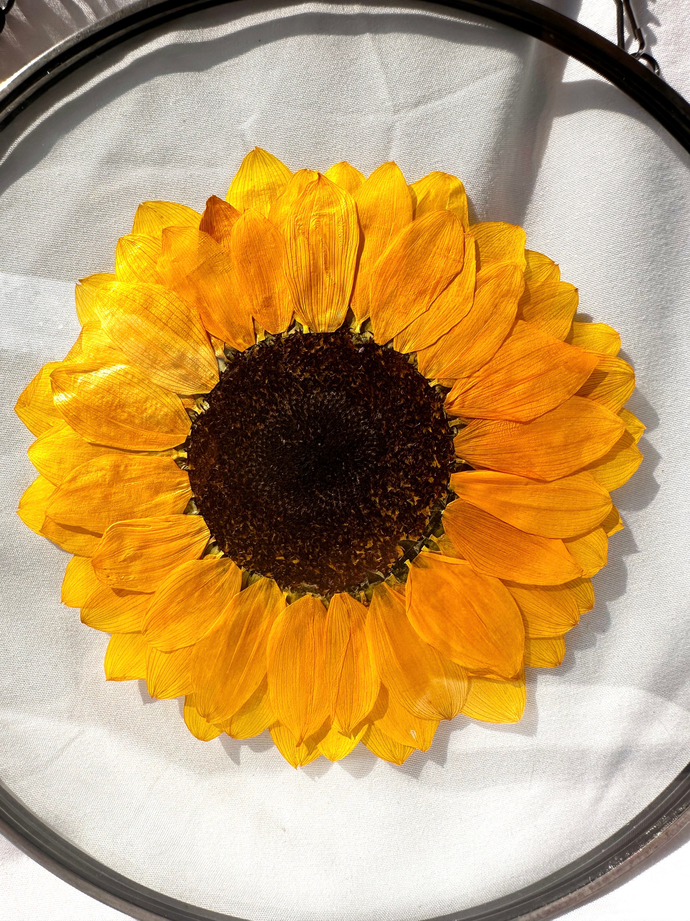 Sunflower Pressed Flower Frame Wall Decor Pressed Flower Art Pressed ...