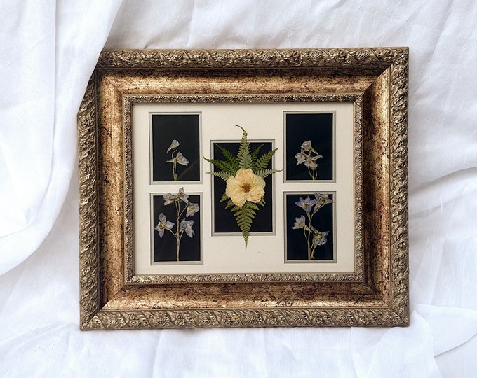 Pressed Flower Frame | Botanical Art - Etsy
