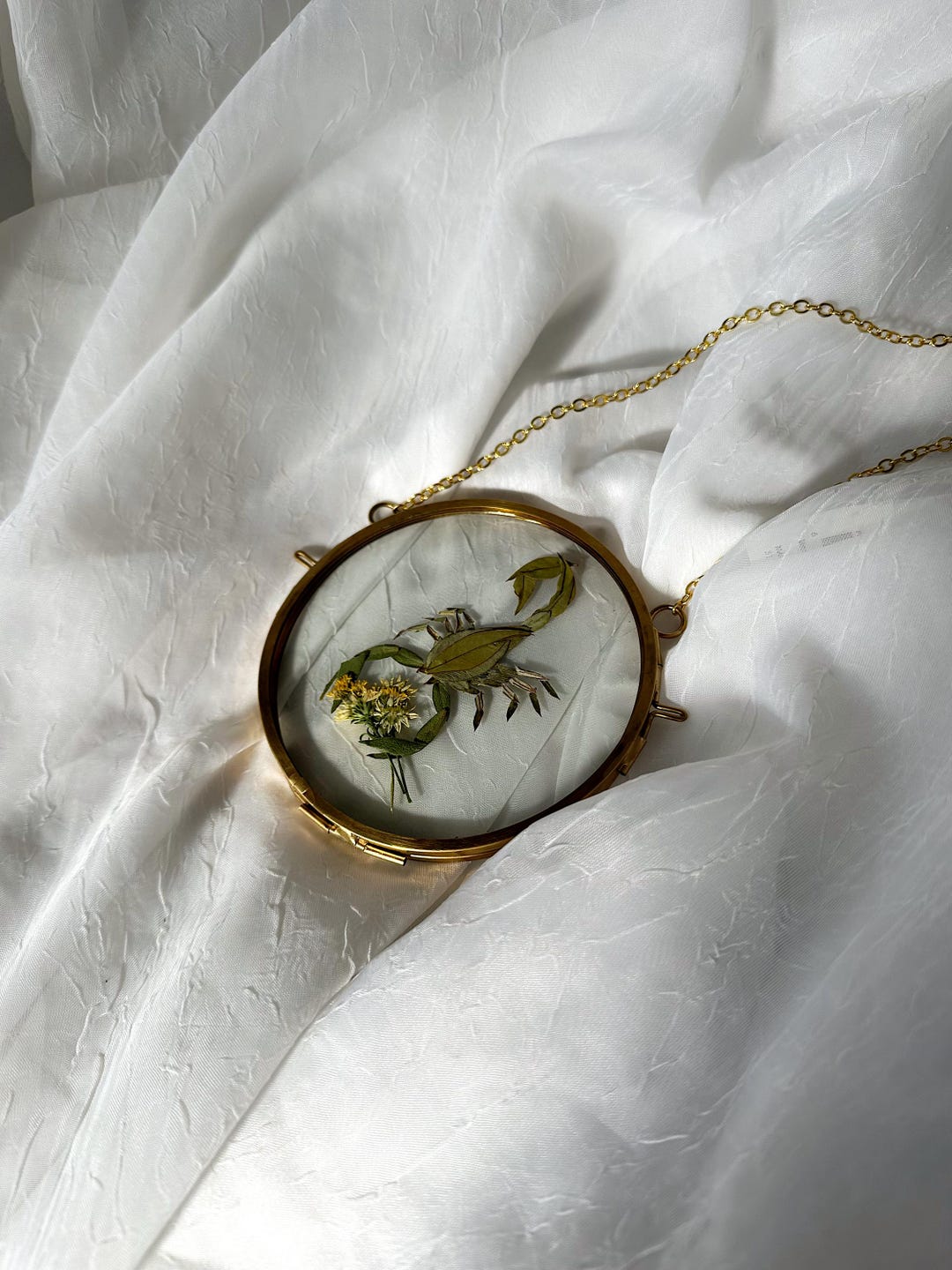 Botanical Scorpion | Pressed Flower Frame | Botanical Bug | Wall Decor ...