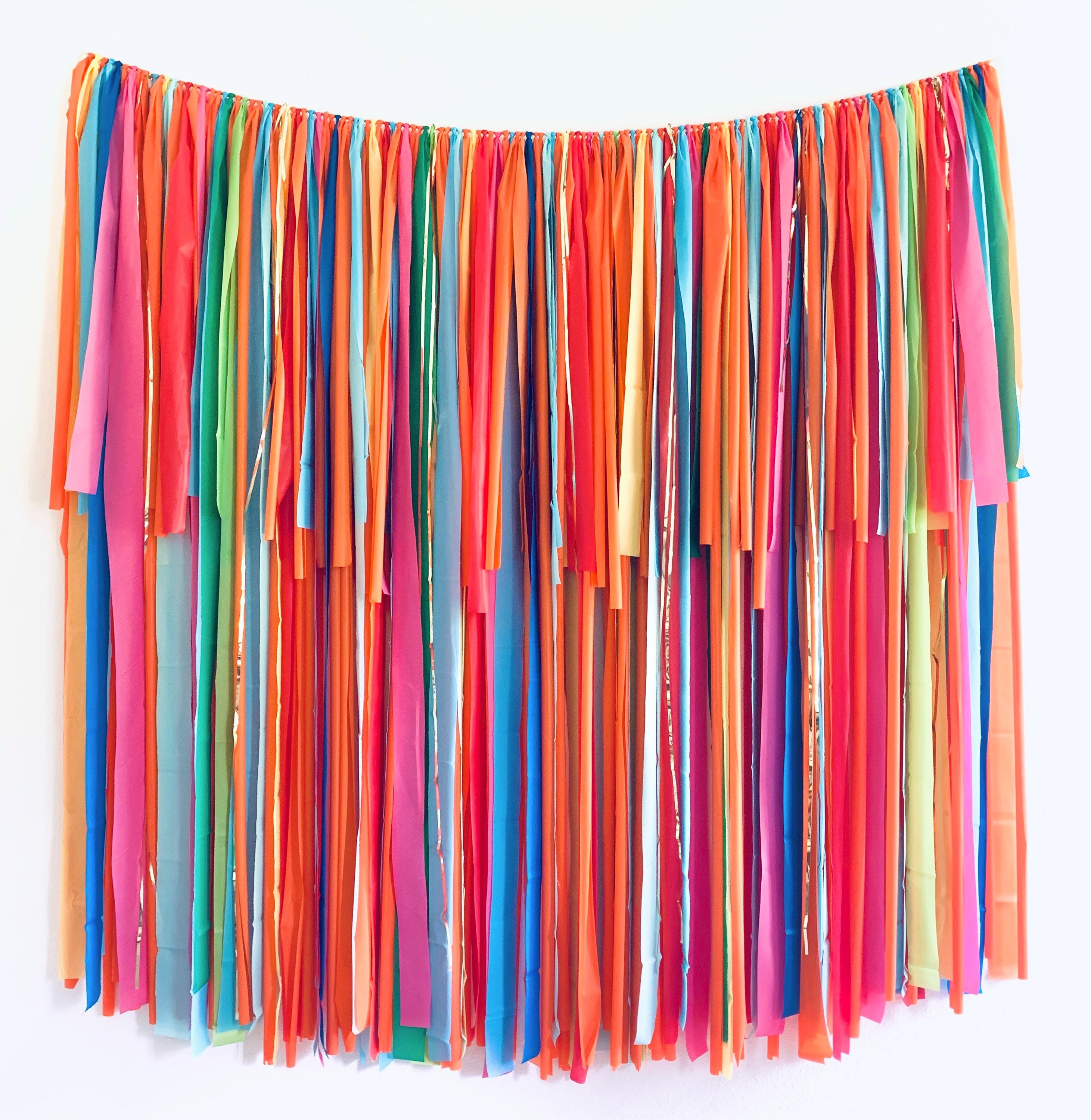 Fringe Backdrop Fiesta Decorations Rainbow Bachelorette | Etsy