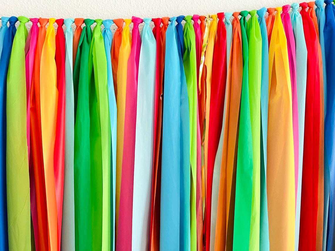 Fringe Backdrop Rainbow Theme Fiesta Decor Fringe - Etsy