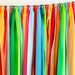 Fringe Backdrop Rainbow Theme Fiesta Decor Fringe Decorations Party ...