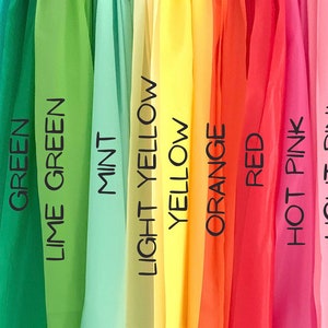 Fringe Backdrop Neon Party Girl Birthday Unicorn Mermaid Fringe ...