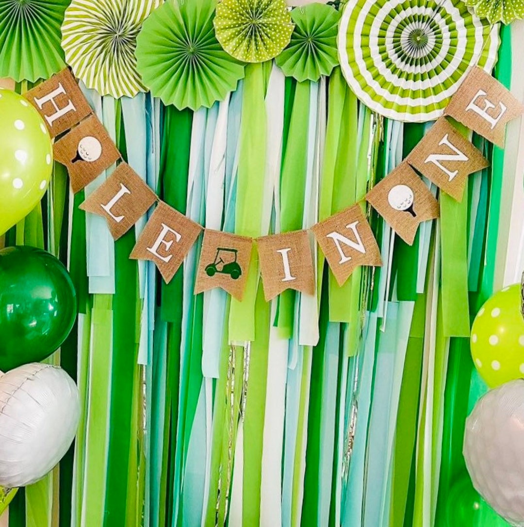 Boy Golf Fringe Backdrop Par-tee Hole in ONE Boy - Etsy