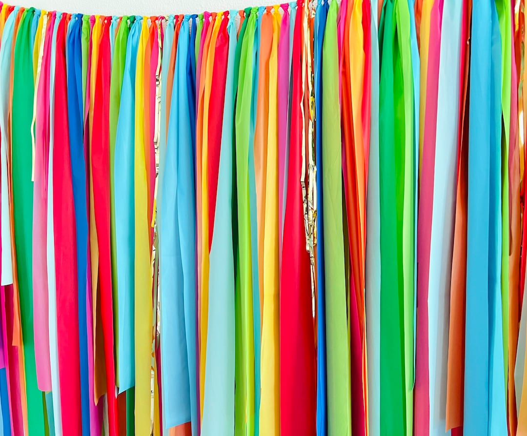 Fringe Backdrop Rainbow Theme Fiesta Decor Fringe Decorations Party ...