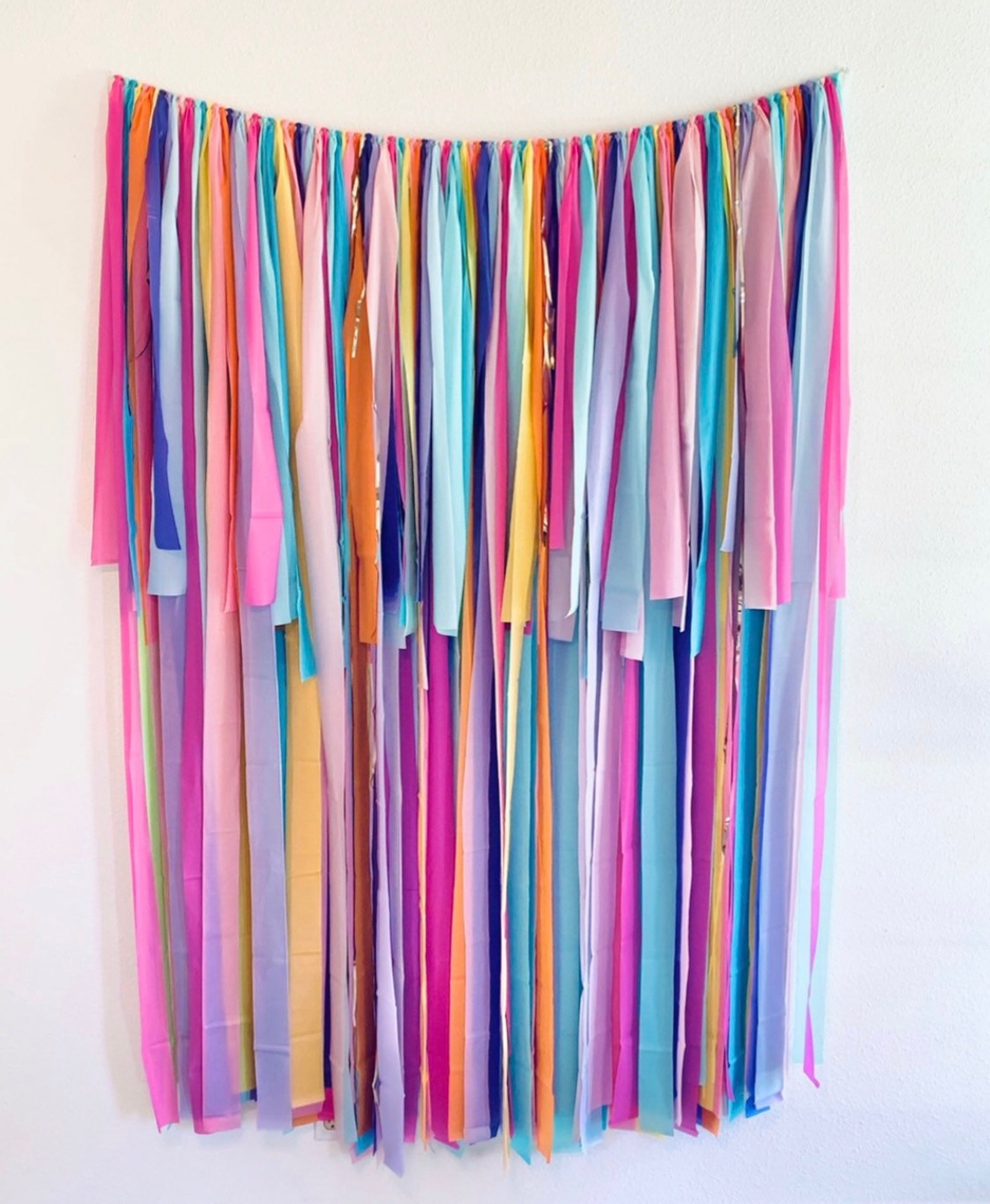 Fringe Backdrop Bachelorette Fiesta Rainbow Fringe - Etsy