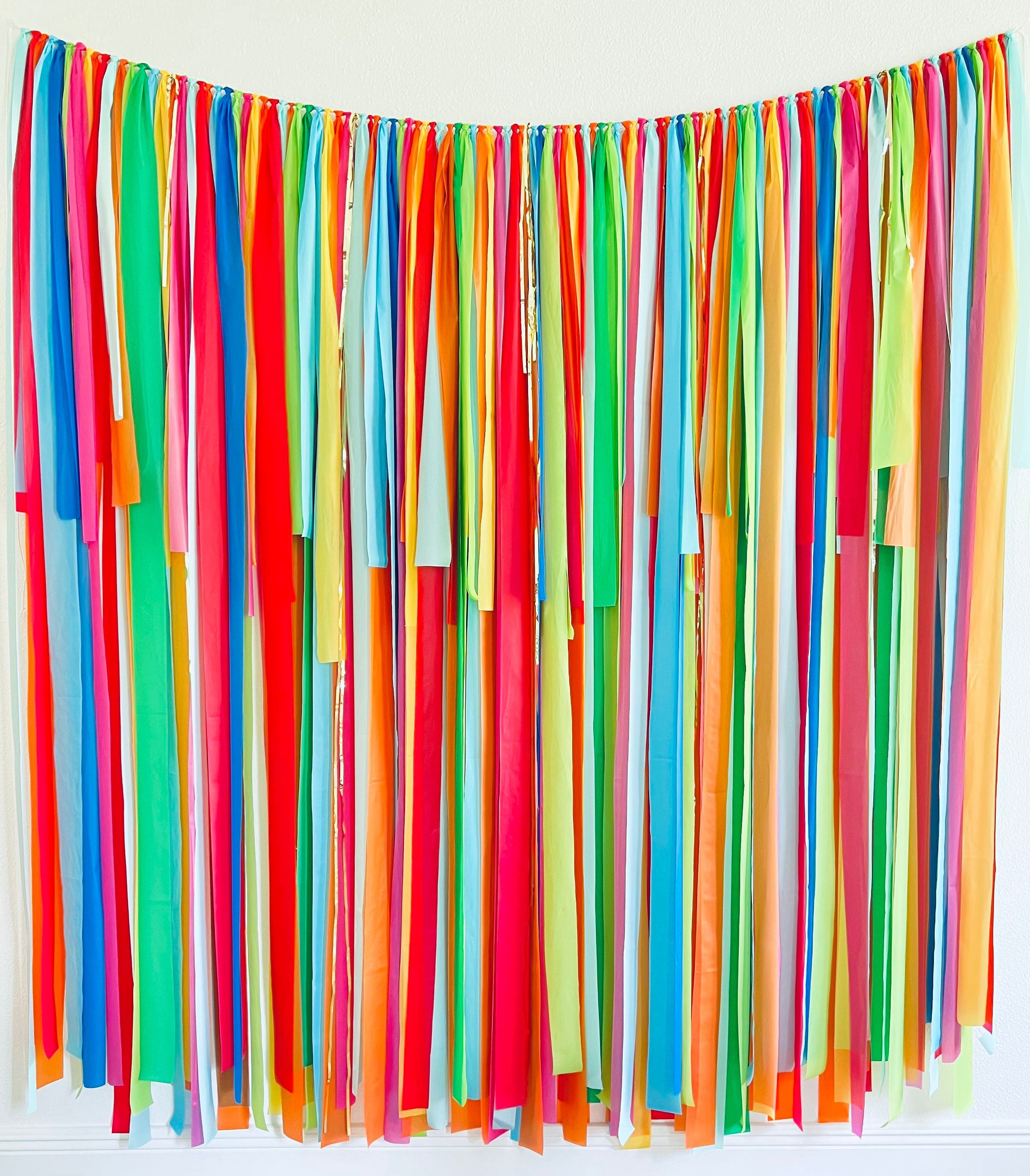 Fringe Backdrop Rainbow Theme Fiesta Decor Fringe - Etsy