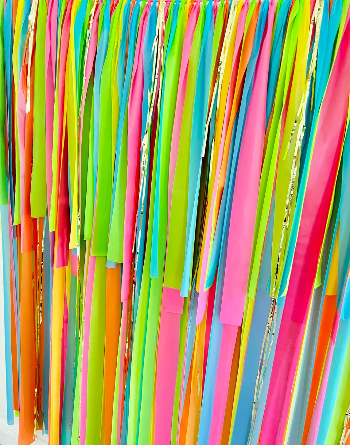 Fringe Backdrop Neon Party Girl Birthday Unicorn - Etsy