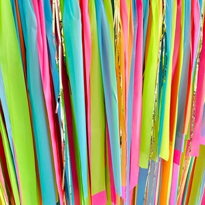 Fringe Backdrop Neon Party Girl Birthday Unicorn Mermaid Fringe ...