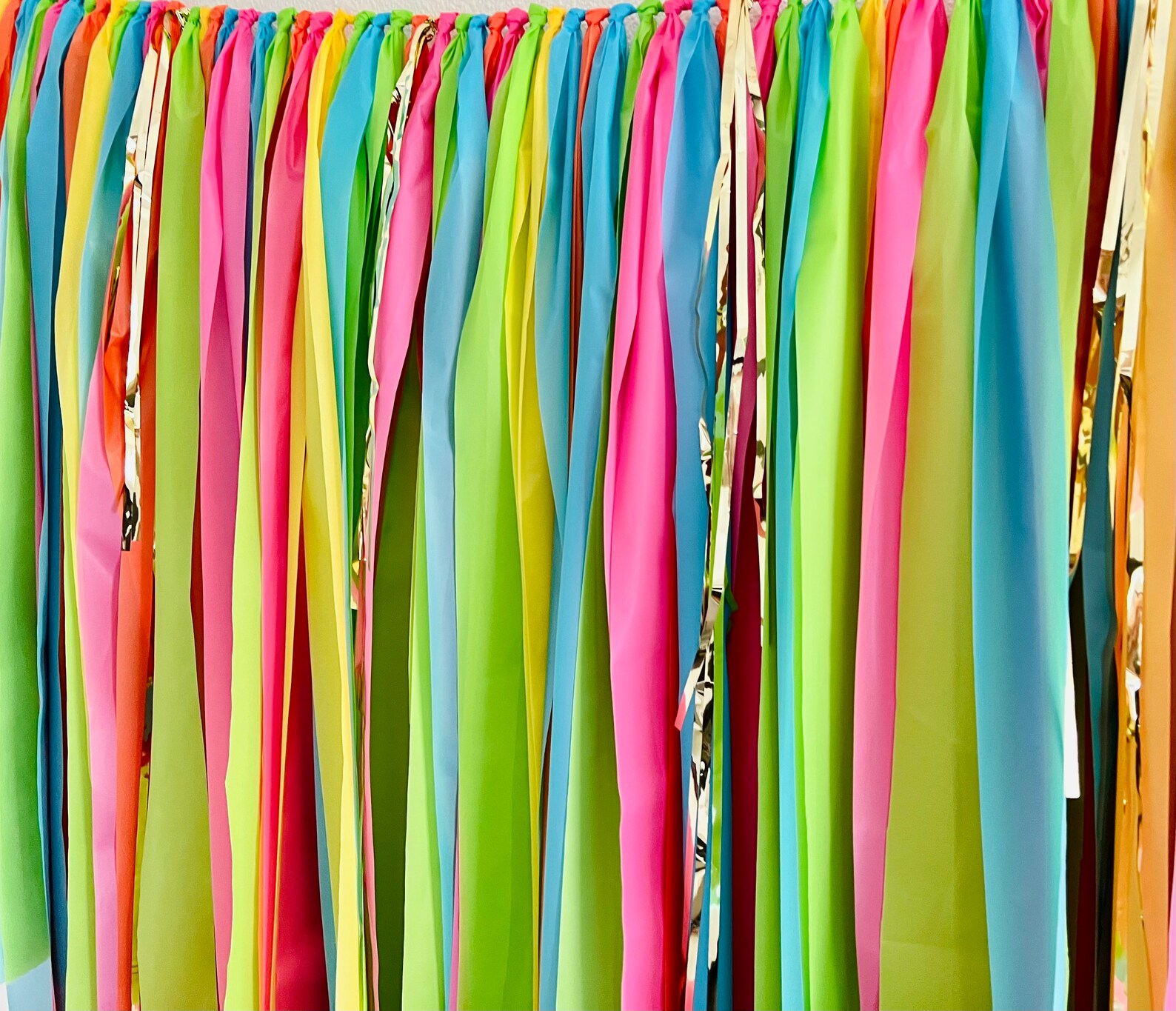 Fringe Backdrop Neon Party Girl Birthday Unicorn - Etsy