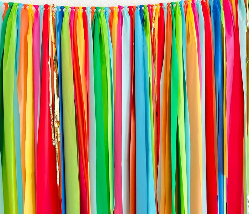 Fringe Backdrop Rainbow Theme Fiesta Decor Fringe - Etsy