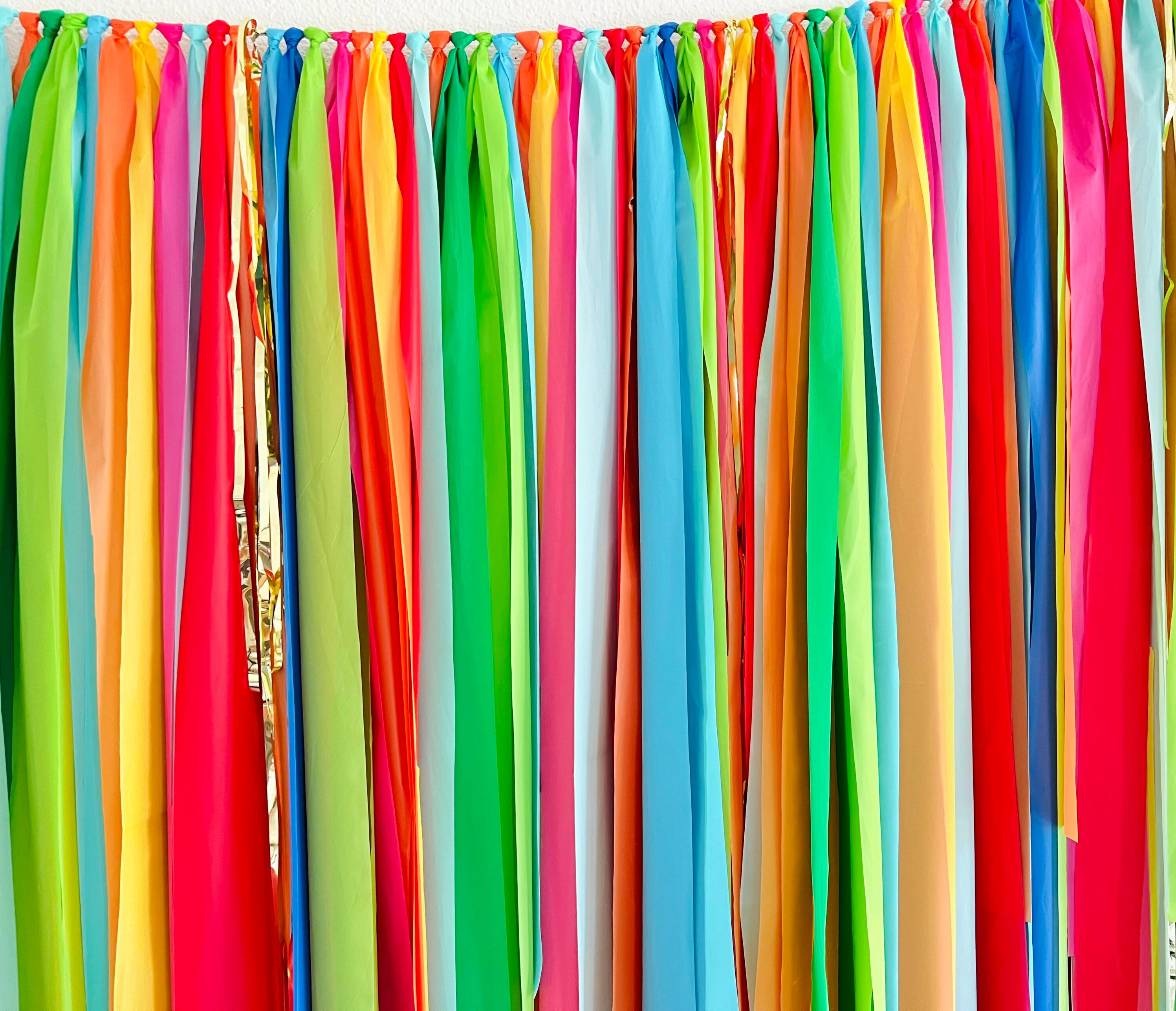 Fringe Backdrop Rainbow Theme Fiesta Decor Fringe - Etsy