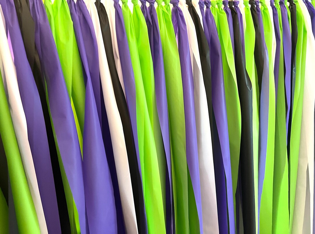 Buzz Lightyear Fringe Backdrop Toy Story Decorations Woody Disney Buzz ...