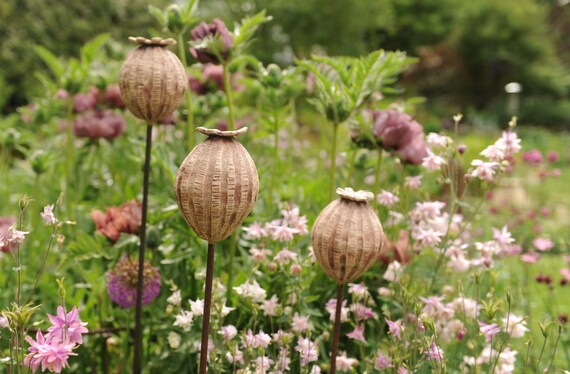 Hand Made Ceramic Seed Heads for the Garden | Etsy
