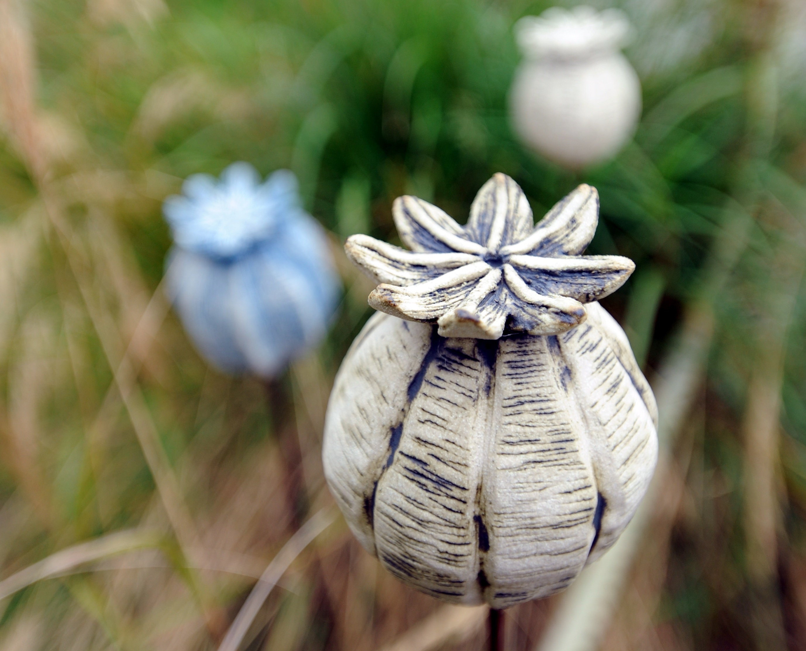Hand Made Ceramic Seed Heads for the Garden - Etsy