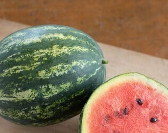 10 Mini Love Watermelon Seeds - Etsy