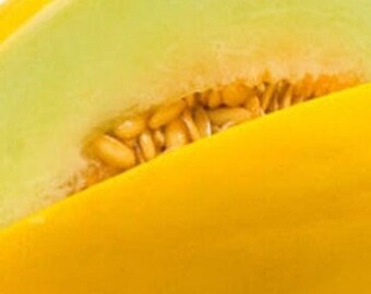 Ukrainian Seeds Melon - Etsy