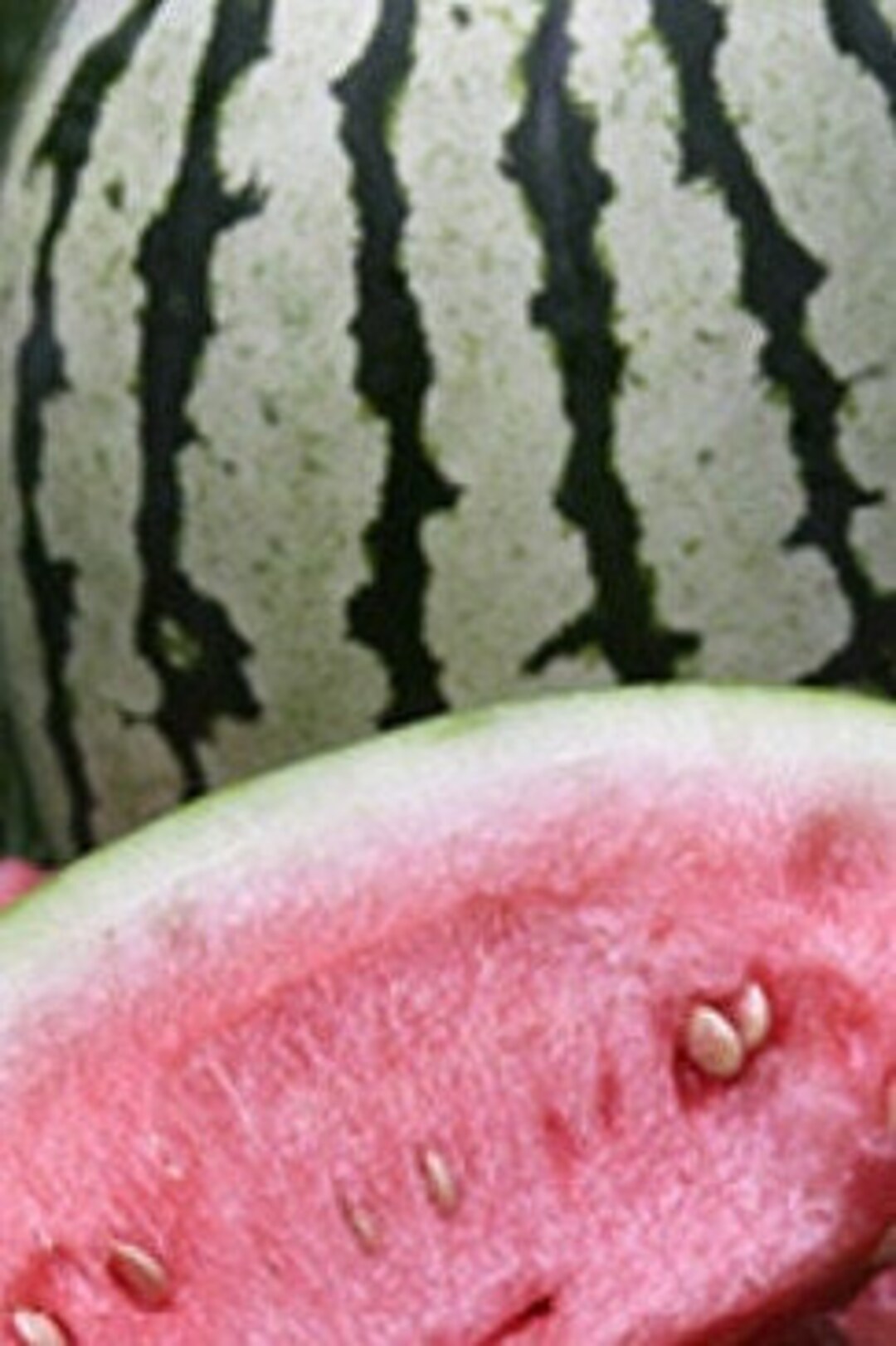 100 Dixie Queen Watermelon Seeds - Etsy