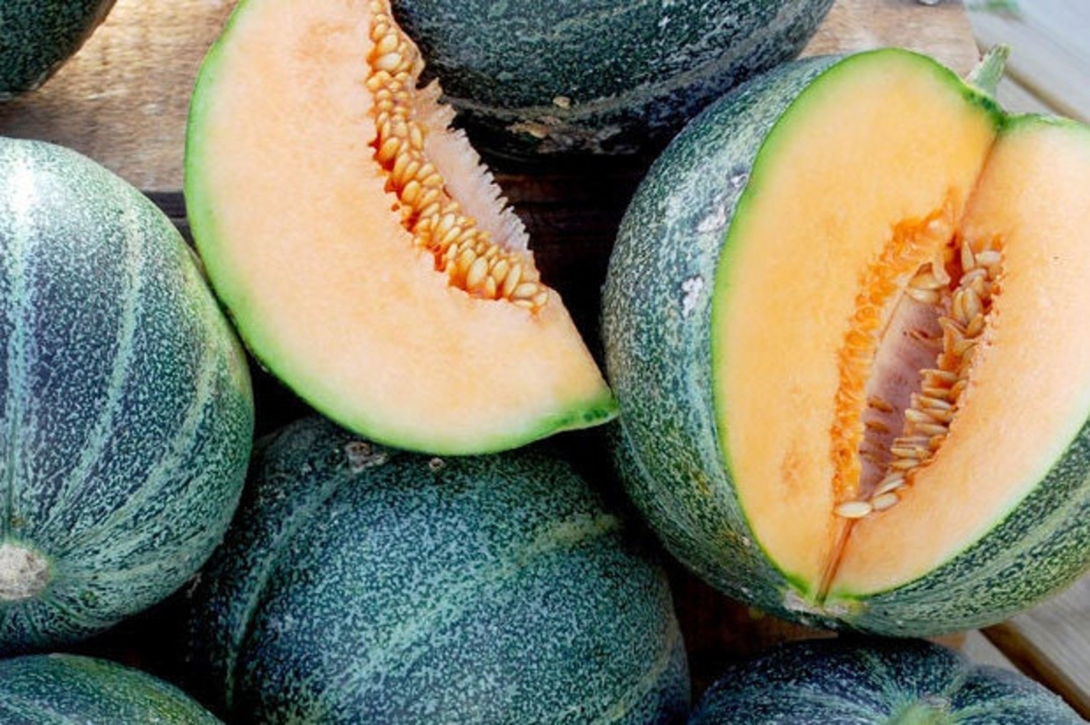 20 French Melon Petit Gris De Rennes Seeds Organic | Etsy