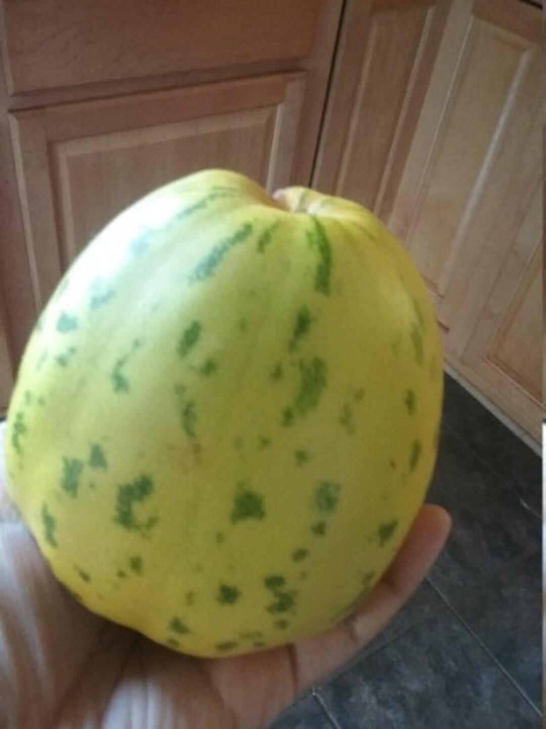 50 Chinese Melon Wah Mibao Seeds - Etsy