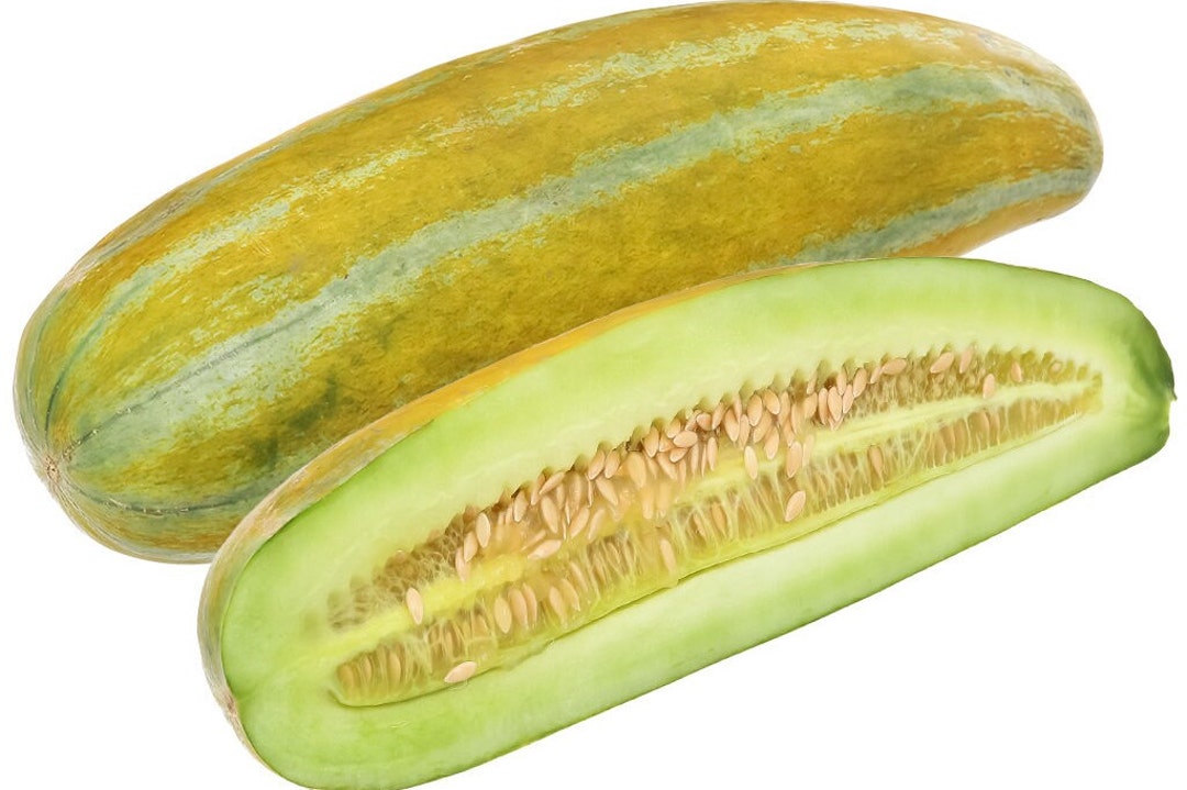 25 Thai Melon Dua Gang Seeds Mix Round Melon - Etsy