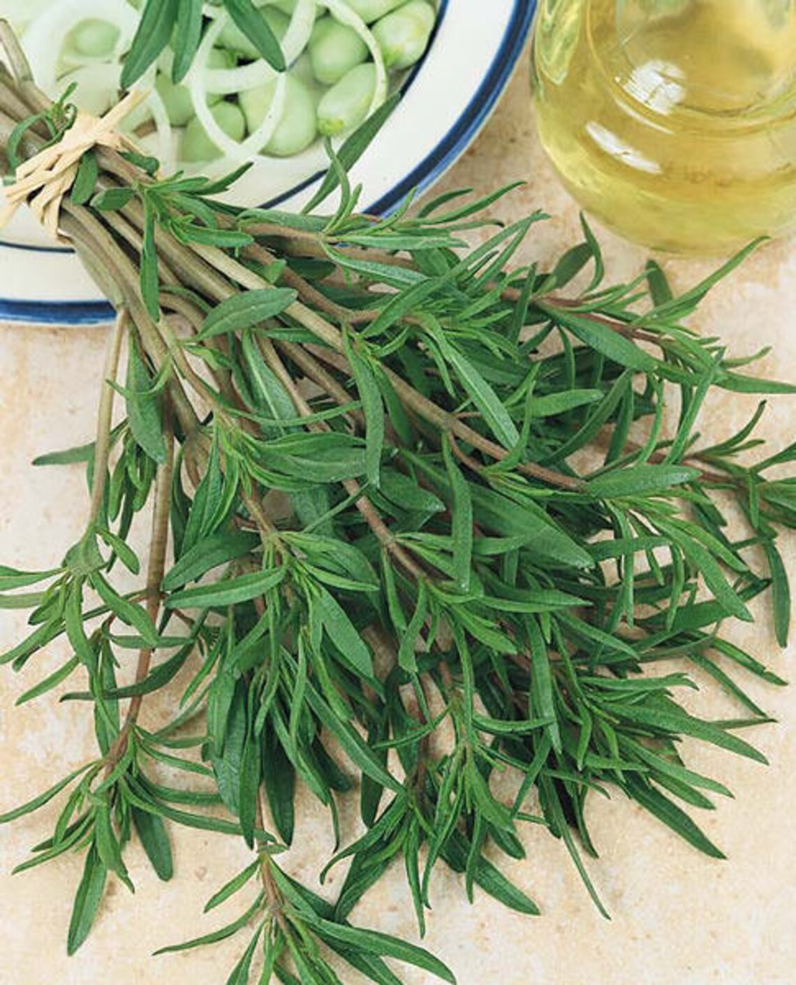 200herb Summer Savory Seeds 60 - Etsy