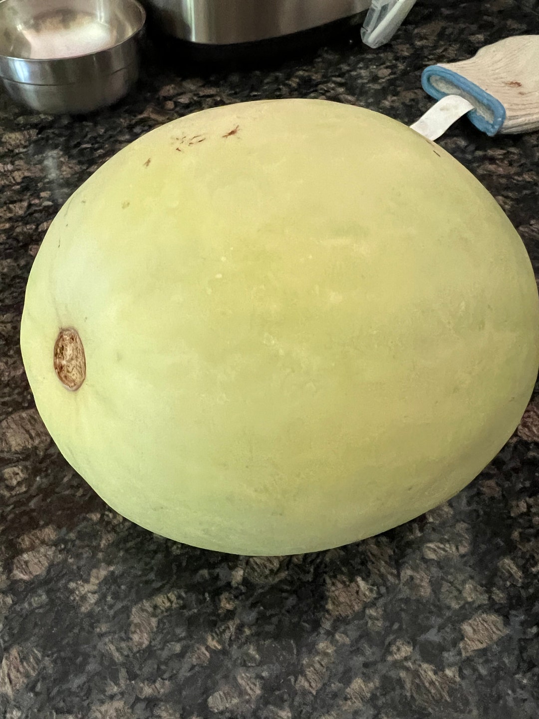 20 Desert King Watermelon Seeds - Etsy