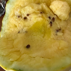 20 Lemon Drop Watermelon Seeds - Etsy