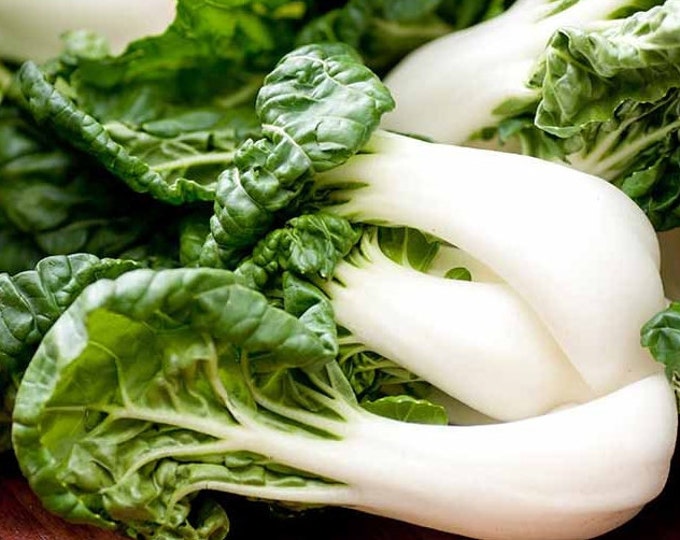 100extra Dwarf Pak Choi Seeds 0191 - Etsy