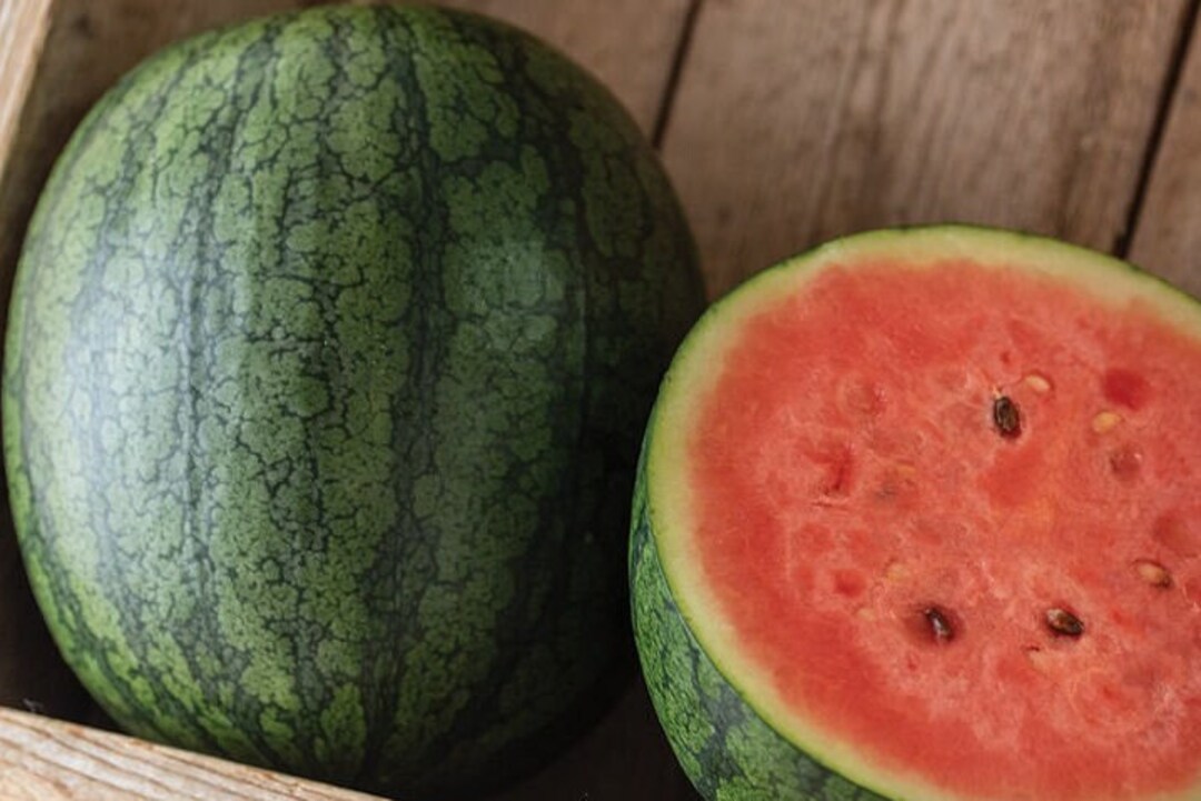 50 Natsu Cocoa Watermelon Seeds - Etsy